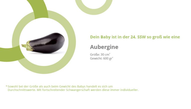 24. SSW - die 24. Schwangerschaftswoche (Tag 162-168)